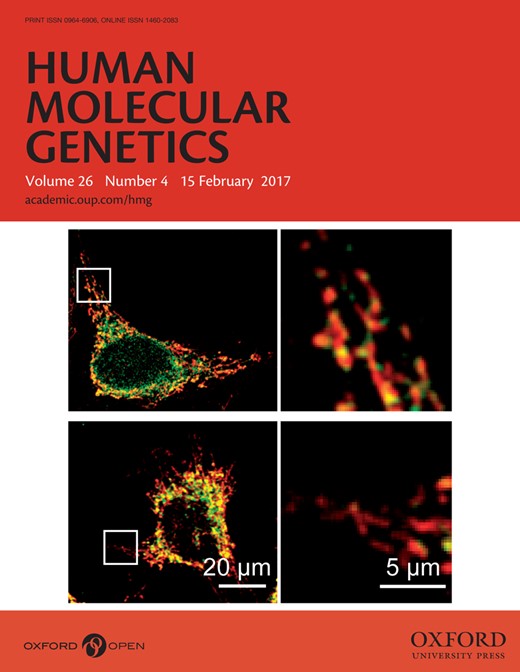 Mutations in the accessory subunit NDUFB10 result in isolated complex I ...
